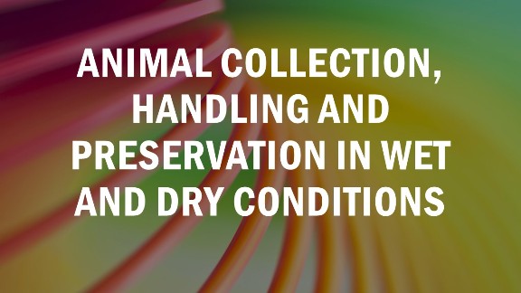 Animal collection, handling and preservation in wet and dry conditions ...